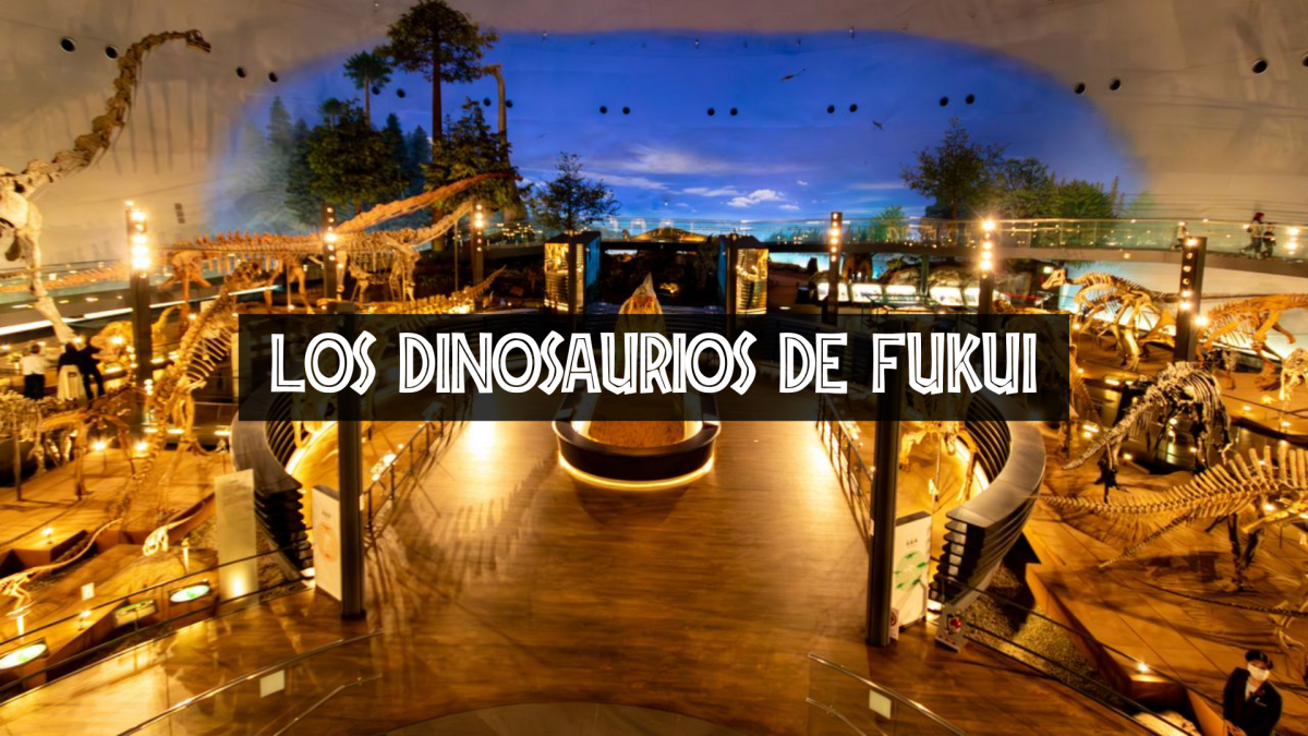 Un vistazo a los dinosaurios de Fukui | Futoi Karasu